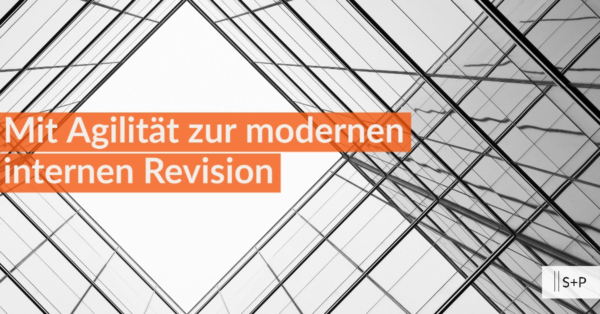 Was versteht man unter Interner Revision? - S+P online buchen